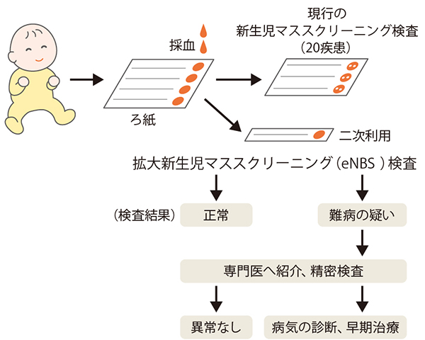 小児神経の最新トピックス 第3回 「脊髄性筋萎縮症の新生児マススクリーニング」|plus Chugai 中外製薬医療関係者向けサイト(医師向け)