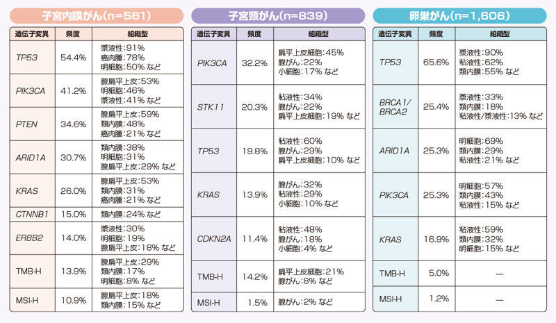 婦人科がん編｜PLUS CHUGAI 中外製薬医療関係者向けサイト（医師向け）