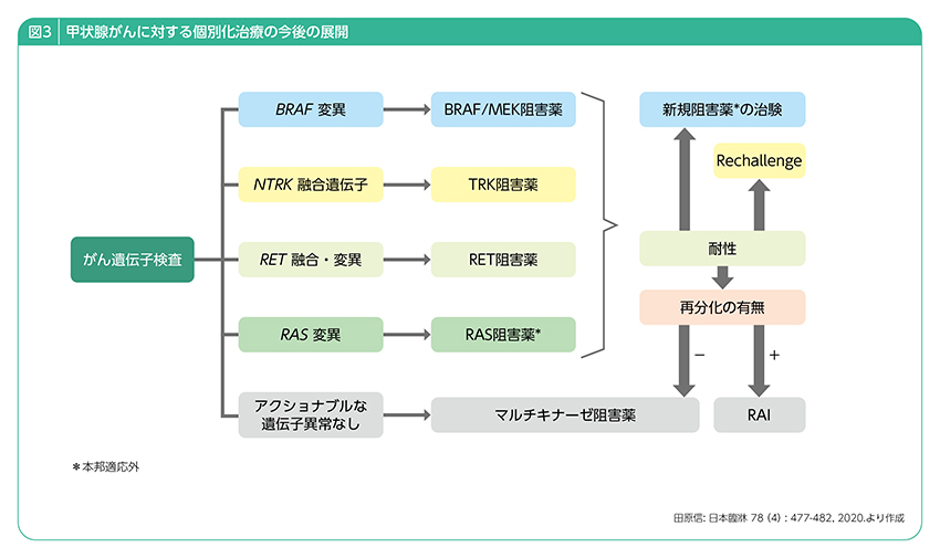 広がる甲状腺がんの個別化治療：BRAF･RET･NTRKを中心とした最新ゲノム戦略｜PLUS CHUGAI 中外製薬医療関係者向けサイト（医師向け）
