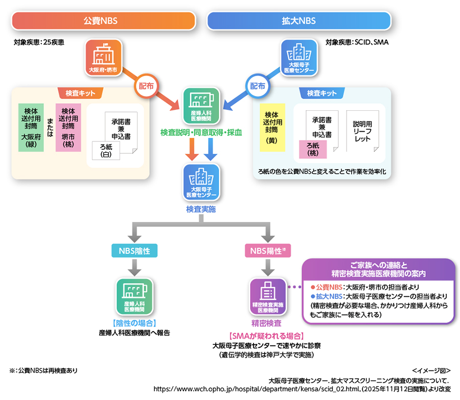 大阪府における拡大新生児マススクリーニング（NBS）事業と脊髄性筋萎縮症（SMA）診療連携：Part 1 拡大NBS検査の普及を目指した ...