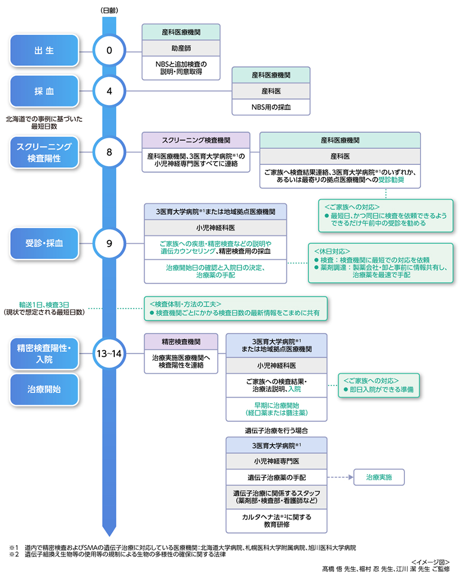 北海道における拡大新生児スクリーニング（NBS）と脊髄性筋萎縮症（SMA）診療連携：拡大NBS SMA陽性例の未来を見据えたより早期の診断 ...