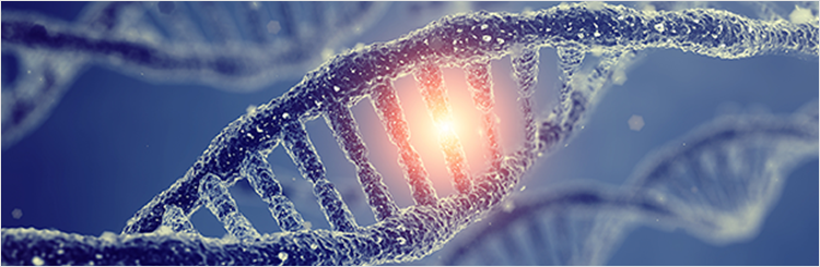 FoundationOne® Liquid CDx がんゲノムプロファイル | 中外製薬医療関係者サイト