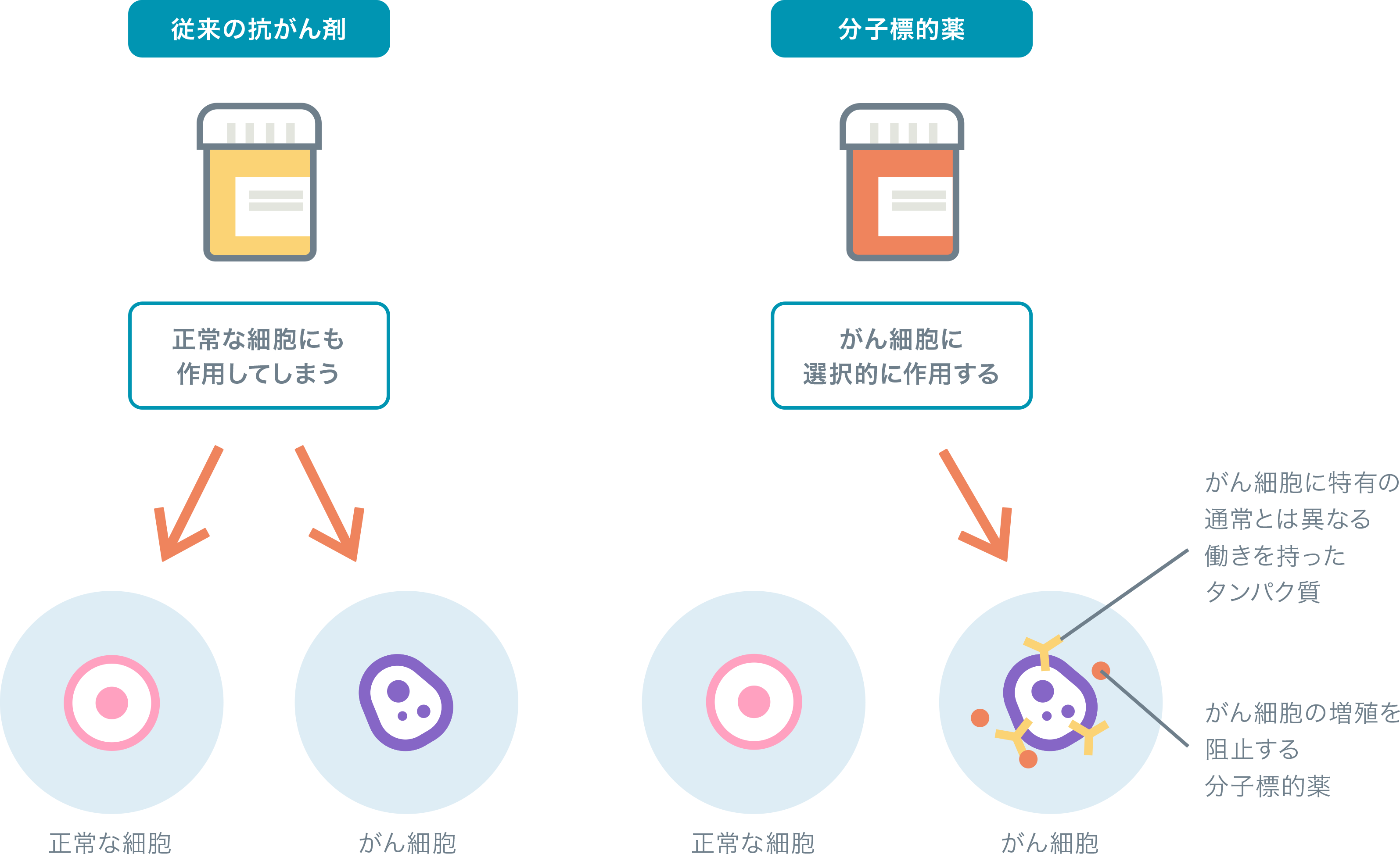 「おしえて がんゲノム医療」イラスト素材集 | 診療サポート資材 | FoundationOne® CDx がんゲノムプロファイル ...